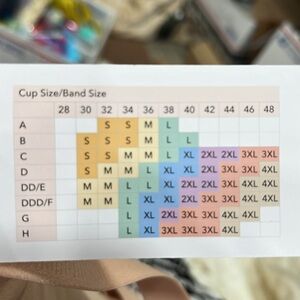 Accents | Bra Sizing Rhonda Shear Anybody Bobby Evelyn Shapermint ...